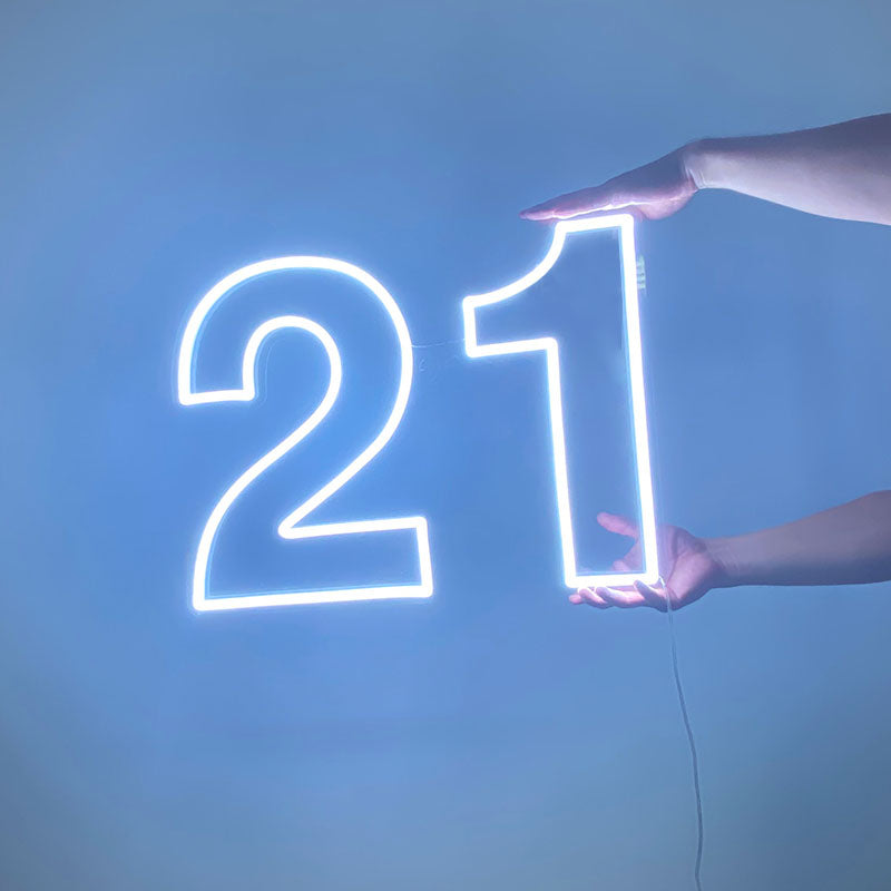 21st Birthday Neon Sign | Creative Twenty One Birthday Theme Decoration